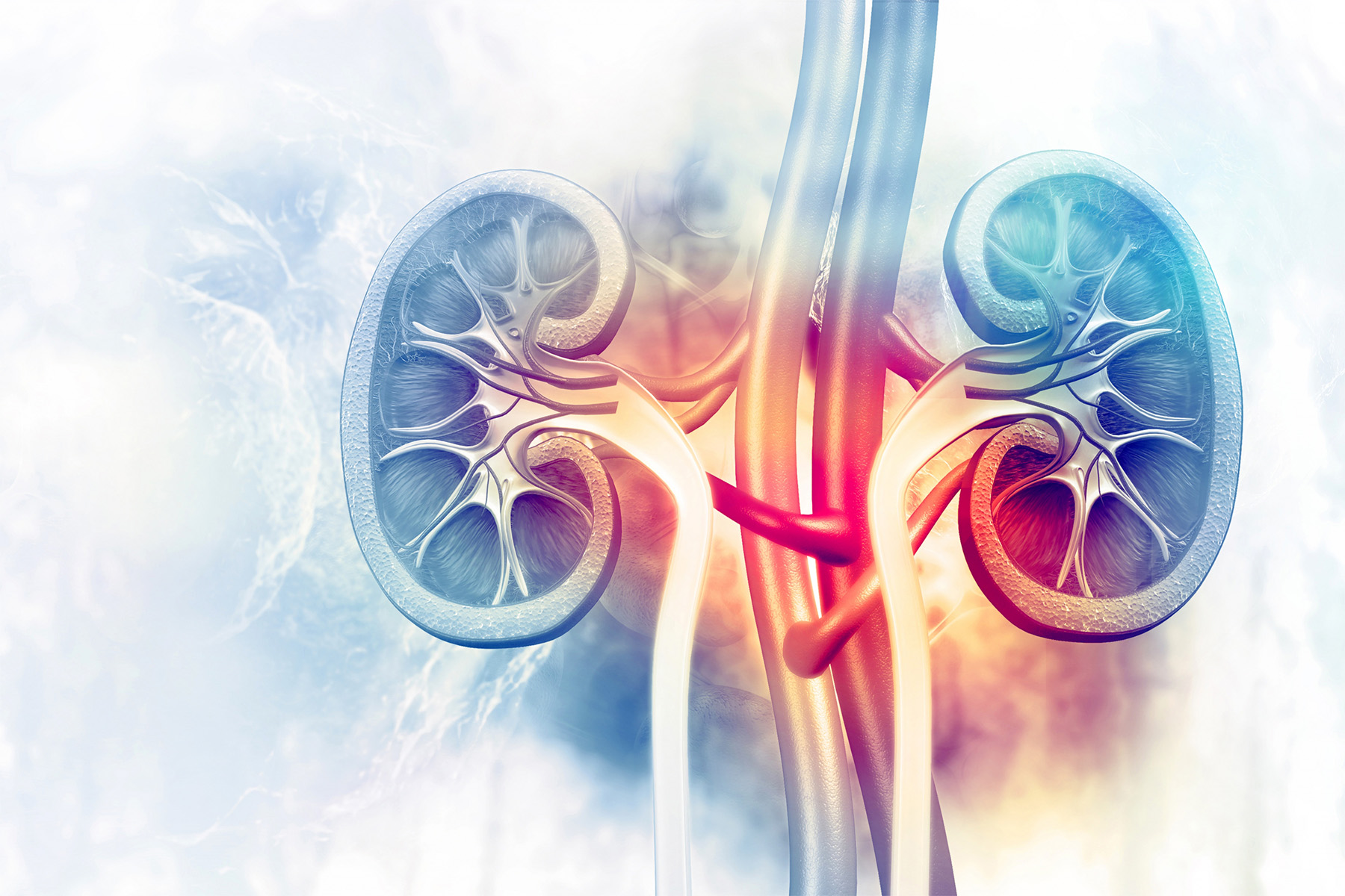 Kidney Disease - National Resource Center on Aging & HIV
